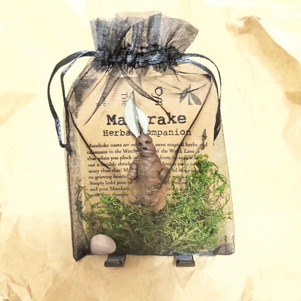 Adopt Your Own Mandrake // Mandrake Charms, Talisman, Creature ...