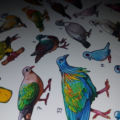 Pigeons of the World Print / Bird Wall Art / Educational Animal Poster ...