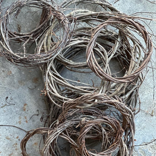 One Roll Brown Floral Grapevine Craft Florist Crafter's Wire 164 Feet ...