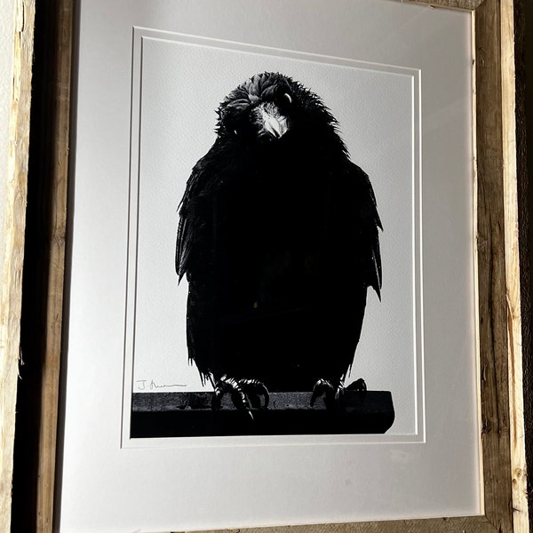 JUDGEMENTAL CROWS With Antique Silvery Grey Texture, Romantic Gift ...