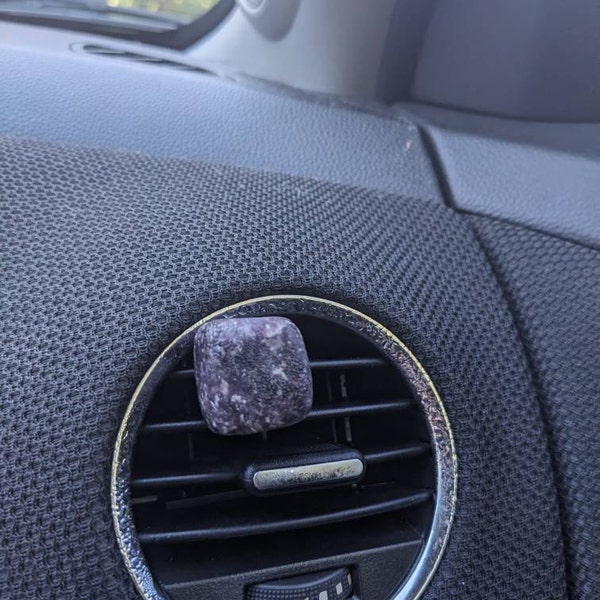 Car Air Freshener Vent Clips, Essential Oil Vent Car Clips, Plant Car ...