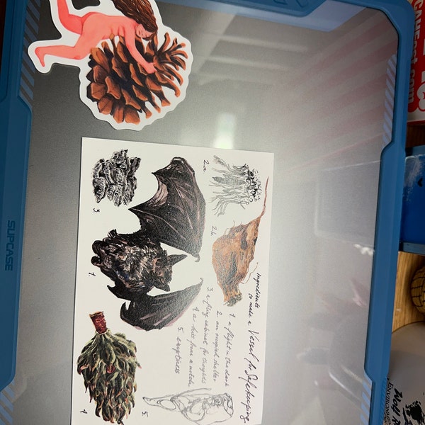 Art Print | Garlic Queen | Illustration | Fantasy Character Art ...