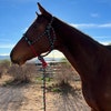 Mule Tape Horse Halter With Rope Noseband - Etsy