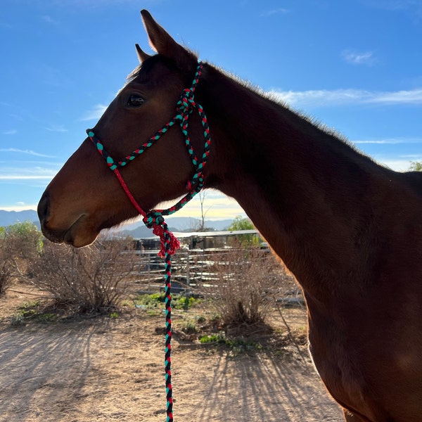 Mule Tape Horse Halter With Rope Noseband - Etsy