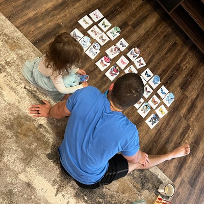 Butterfly Matching Cards, Montessori Materials Printable, Toddler ...