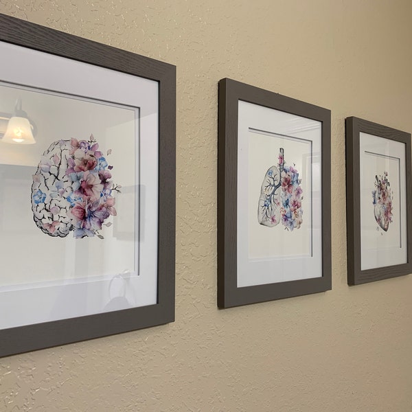 Human Brain Heart Lungs Set of 3 Watercolor Prints Anatomy Wall Art ...