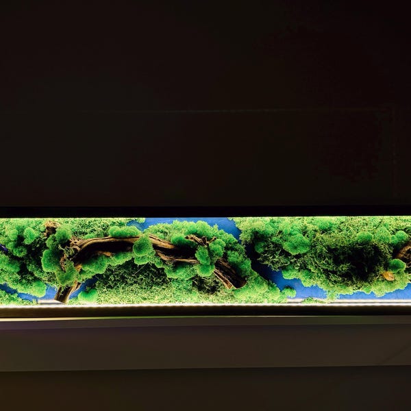 Handcrafted Preserved Moss Wall Art With LED Lighting–50x70 Cm Forest ...