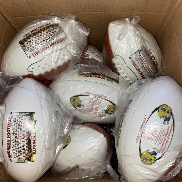 Personalized Custom Mini Volleyballs for Coaches' Gifts, Senior Gifts ...