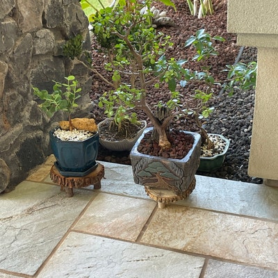 Pinewood Floating Shelves Set of 2 You Choose Stain Color - Etsy