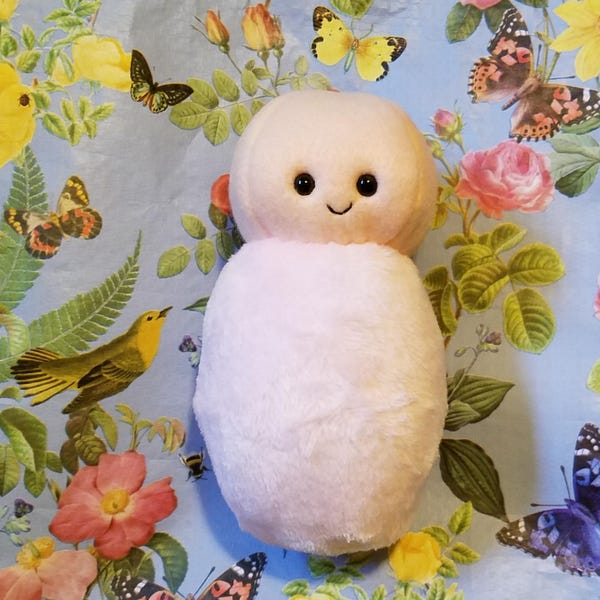 Dumpling Baby Doll, Plushie, Soft Doll - Etsy