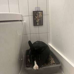 Rabbit Victorian Gentleman Hare Reading Newspaper on Toilet Whimsical ...