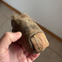 Rat Christ Ooak Cursed Crucifix Sculpture - Etsy Canada