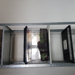 Land Snail Kit Ideal for Garden Snails - Etsy