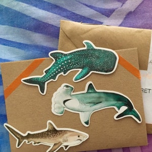 Hai Sticker Vinyl Sticker Haie Ocean Life plastikfreie - Etsy.de