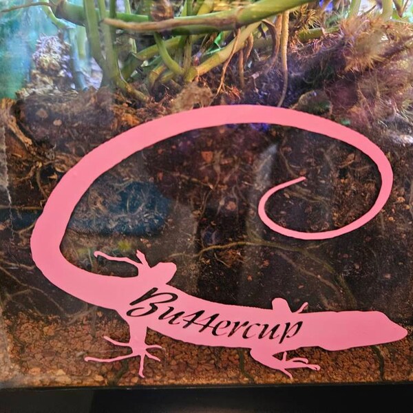 Customizable Name Ball Python Snake Vinyl Decal (READ DESCRIPTION) - Etsy