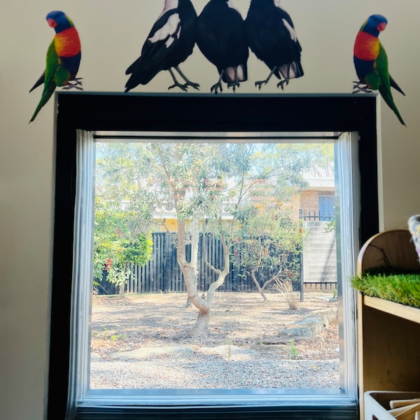 Warbling Magpies Decal, Australian Trio Magpies Sticker, Bird Lover ...