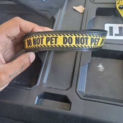 Blackened Vertebrae Spine Chain Necklace in Black Matte Fishbone Choker ...