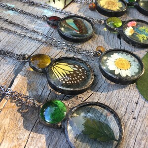 Mini Daisy Pressed Flowers Pack of 25 1/2 7/8 Inch Diameter Yellow ...