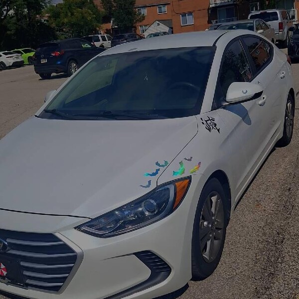 Butterfly Flourish Car Decal, Car Livery, Flower Decals, New Car Gift ...