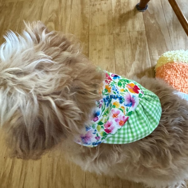 Dog Hair Bow for Dogs, Dog Hair Clip, Fall Hair Dog Bows, Hair Clip for ...