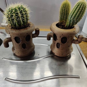 3D Printed Hand-painted Gyroid Lloid Succulent Planter Vase | Etsy