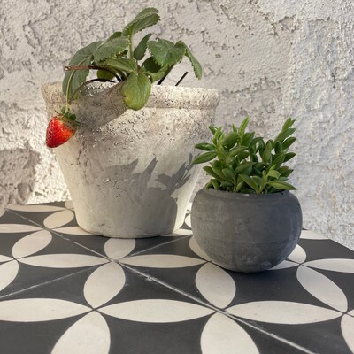 Yellow Terracotta Concrete Planter Box Minimalist Planter Pot Succulent ...