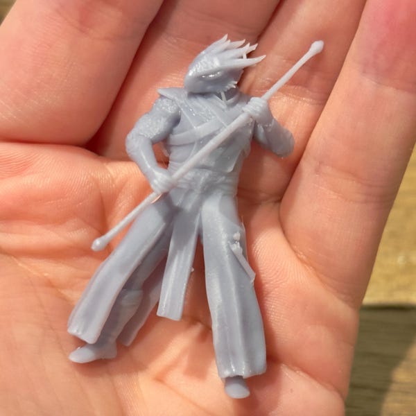 Custom 3D Printed BG3 Baldur's Gate 3 III Shadowheart Miniature/statue ...