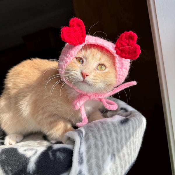 Red Apple Cat Hat Crochet Cat Hat Cat Accessories Cat Costumes Cat ...