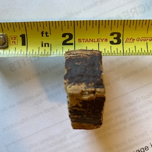 10 Natural Munchie Cups Great for Foraging Parrot Toys and - Etsy