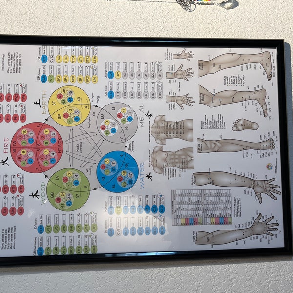 Autonomic Spinal Centers Nervous System Poster Chiropractic 12 X 24 ...