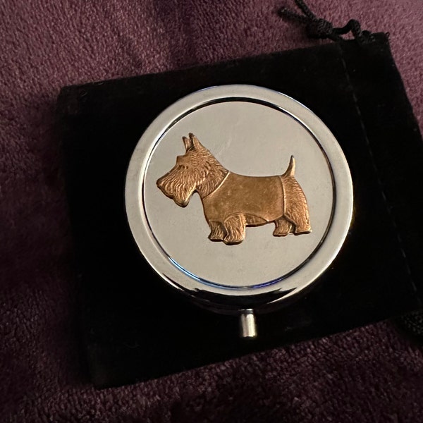 Bronze Lion Pill Box, Pill Holder, Pill Organizer, Trinket Box, Stash ...