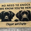 Frenchie Peekaboo Door Mat, French Bulldogs Peekaboo We Know You ARE ...