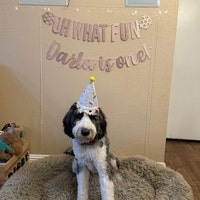 Quitter Cake Topper Funny Retirement Cake Sign Party Decorations for a ...