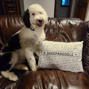 Doodle Dog Blanket Talk Doodle to Me Doodle Mom or Doodle - Etsy