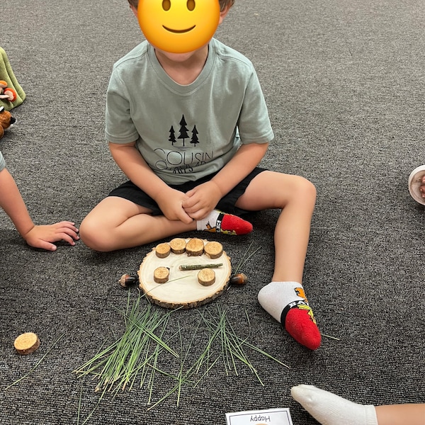 Nature Emotions Flashcards Bundle | Digital Download | Emotions Cards ...