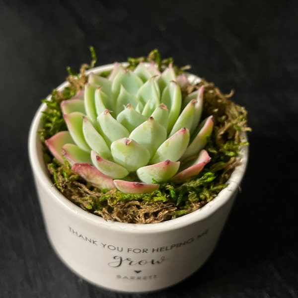 Personalized Mini Succulent Gift | LIVE SUCCULENT INCLUDED | Birthday ...