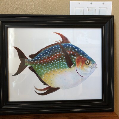 Opah Fish Print, Vintage Fishing Poster Wall Art Decor, Gift for Dad ...