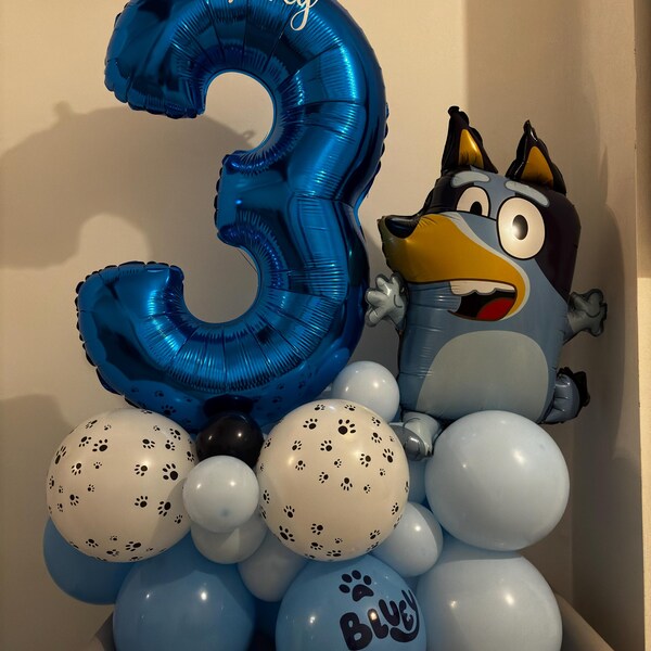 DIY Large Bluey Personalised Balloon Sculpture Kit | No Helium ...