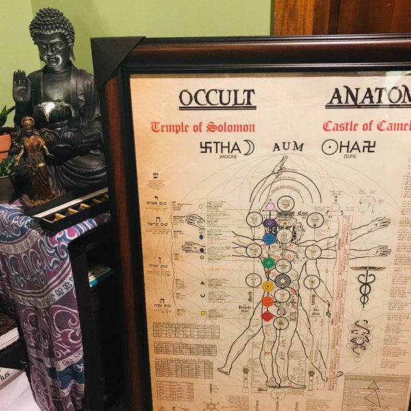 Occult Anatomy 2020 - Large Occult Poster (24x36), Occult Illustration ...