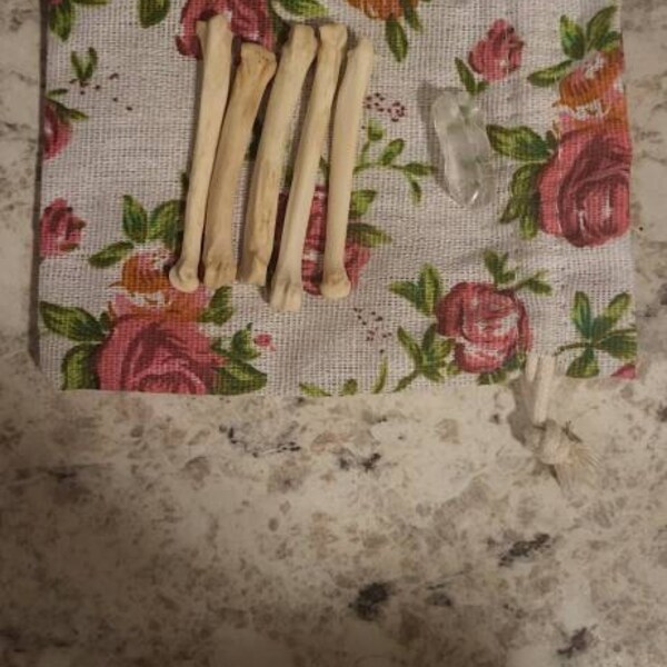 Mini Travel Bone Throwing Set Yes or No / Crystals / Animal Bones / Osteomancy / Bone Reading ...