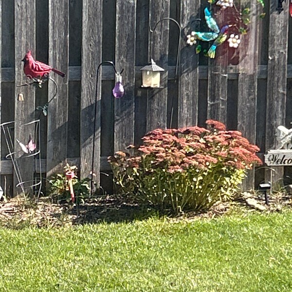 Hummer H2 Suv, GM Hummer H2 Suv Gift, Hummer H2 Suv Sign, Large SUV, 4 ...