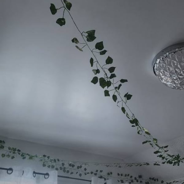 Ceiling & Wall Decor - Glossy or Matte Options, Wide Color Selection ...