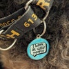 Poop Dog Tag for Your Little Sht Free Personlisation - Etsy UK