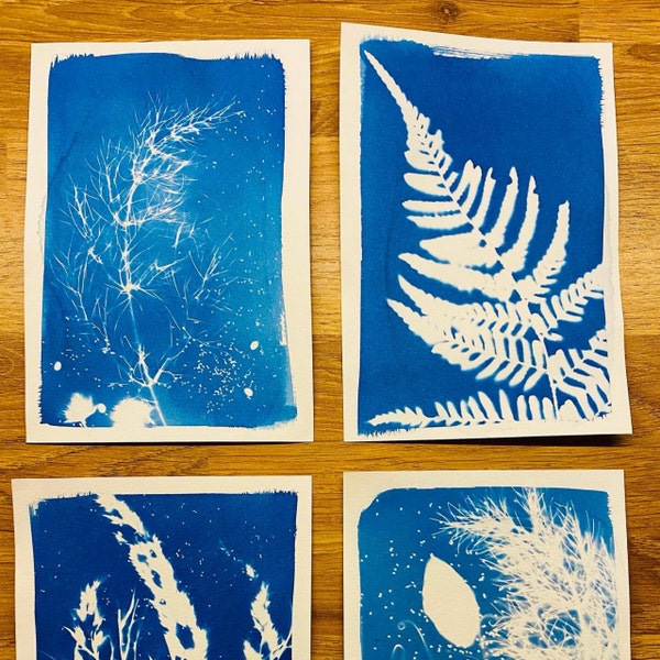 Cyanotype Kit: Easy to Use Sun Printing Kit by Daisy Bow Craft - Etsy