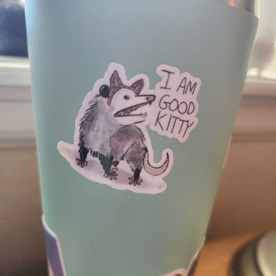 Fight Me Coward Raccoon Sticker, Raccoon Sticker Decal - Etsy