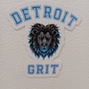 Detroit Lions Grit LED Sign - Etsy