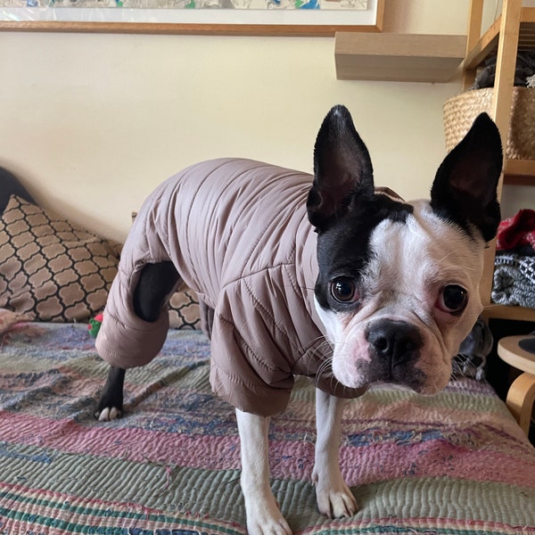 D-ring Solid Puffer Overall, S-2XL, Pet Pants, Dog Jumpsuit, Pet ...