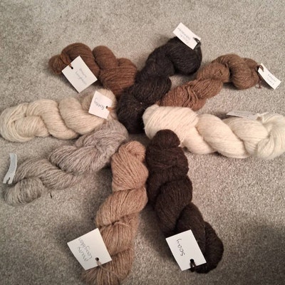 CASTLEMILK MOORIT RAW Whole Fleece British Conservation Rare Breed ...