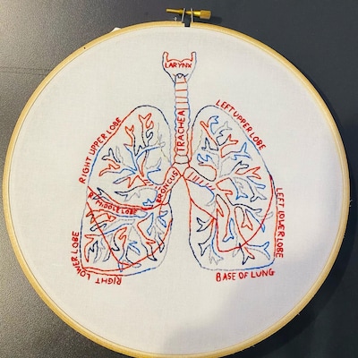 23 Anatomy Embroidery Patterns, Embroidery Pattern Bundle, Medical ...