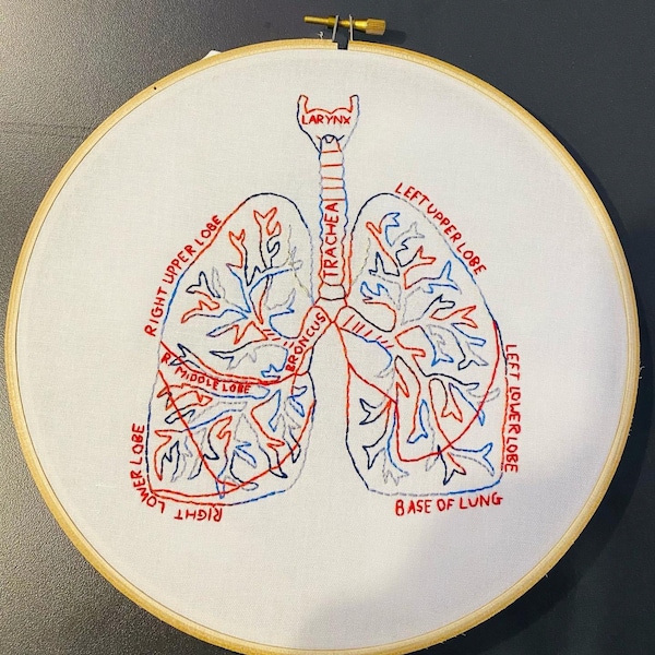 23 Anatomy Embroidery Patterns, Embroidery Pattern Bundle, Medical ...